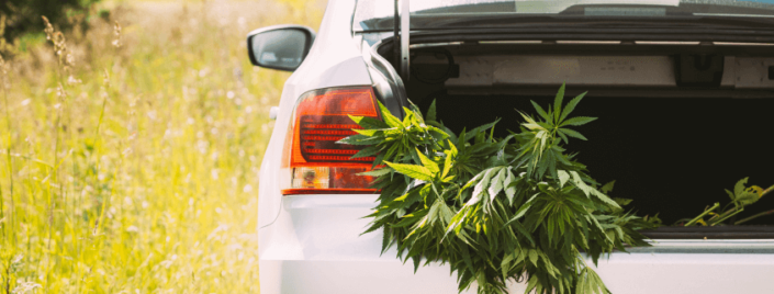 Driving High in California? Here’s What the Law Says - MCC